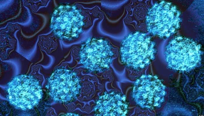 VPH oral se puede transmitir por vía de contacto oral-oral y oral ...